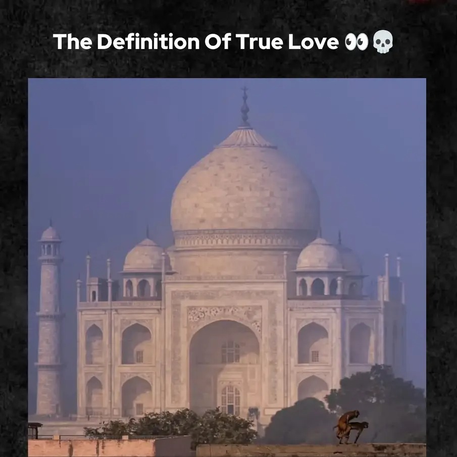 The Funniest Love Memes :) Memedroid