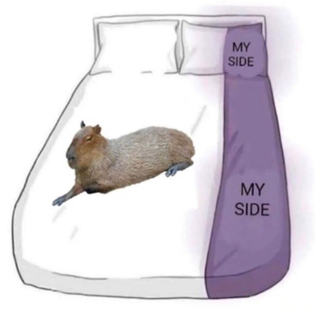 My side - Meme subido por PASSWORD123456789 :) Memedroid