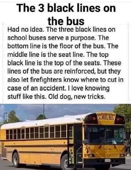 Latest memes / New memes :) Memedroid