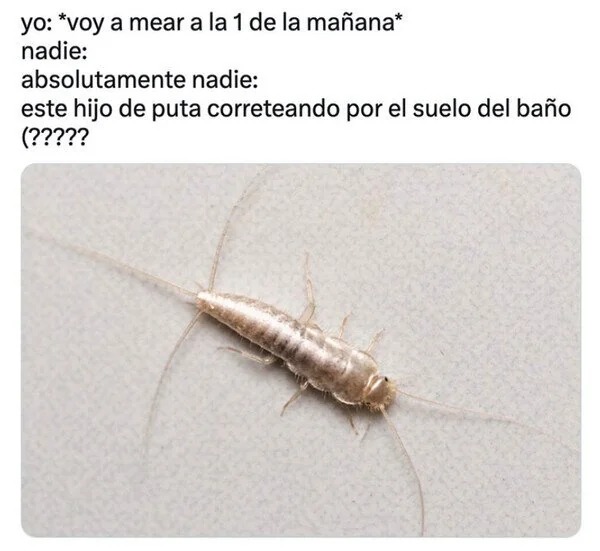 Tanmarcal :) Memedroid