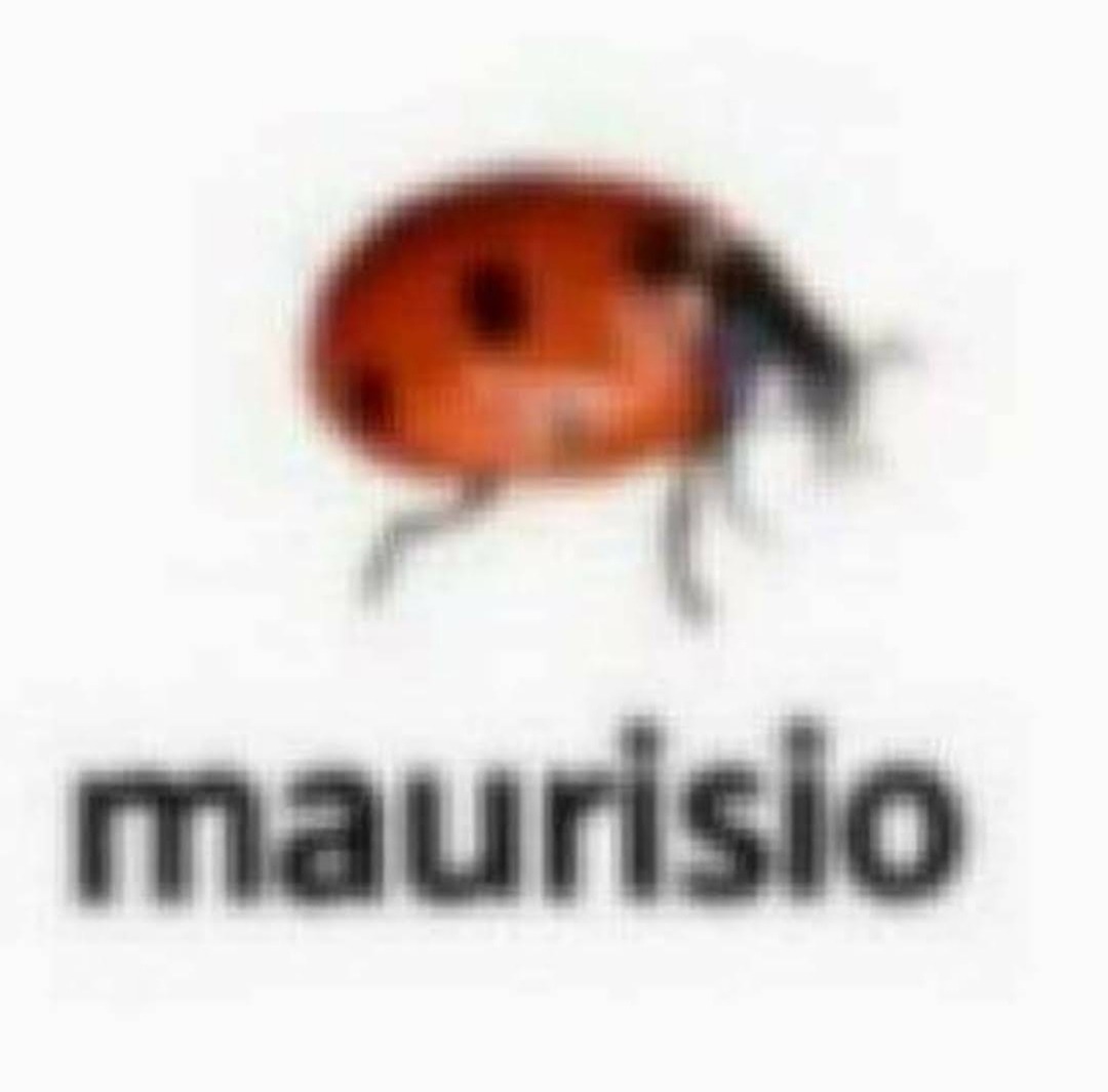 Últimos memes :) Memedroid