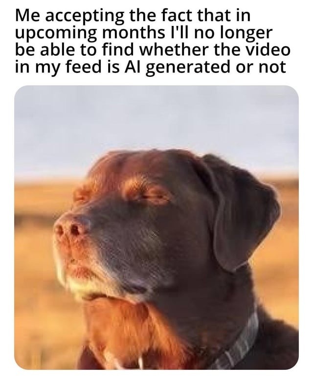 The Best Future Memes Memedroid