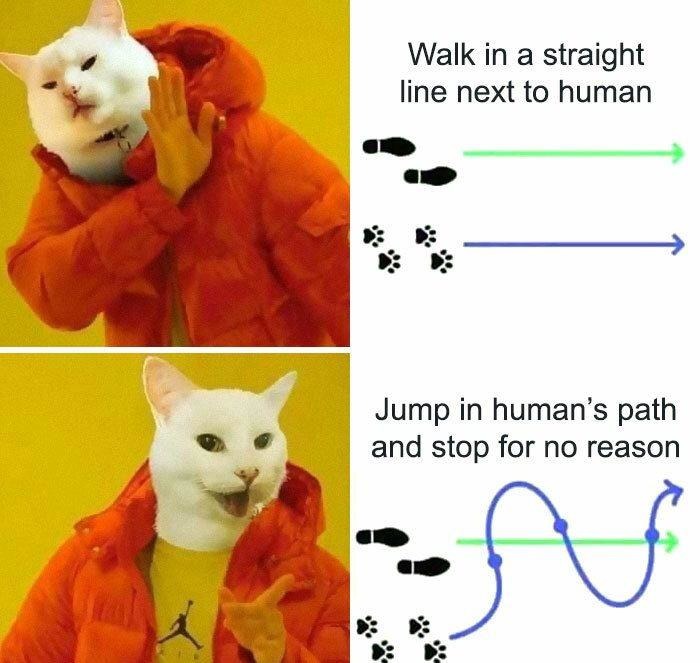 H - Meme by shrimpready :) Memedroid