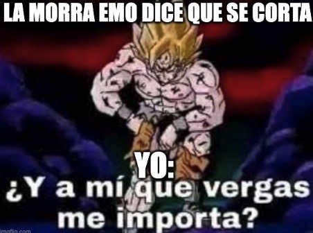 goku insano - Meme by eltilininsanowazza :) Memedroid