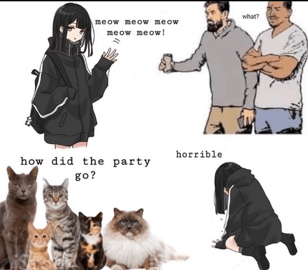 Random memes :) Memedroid