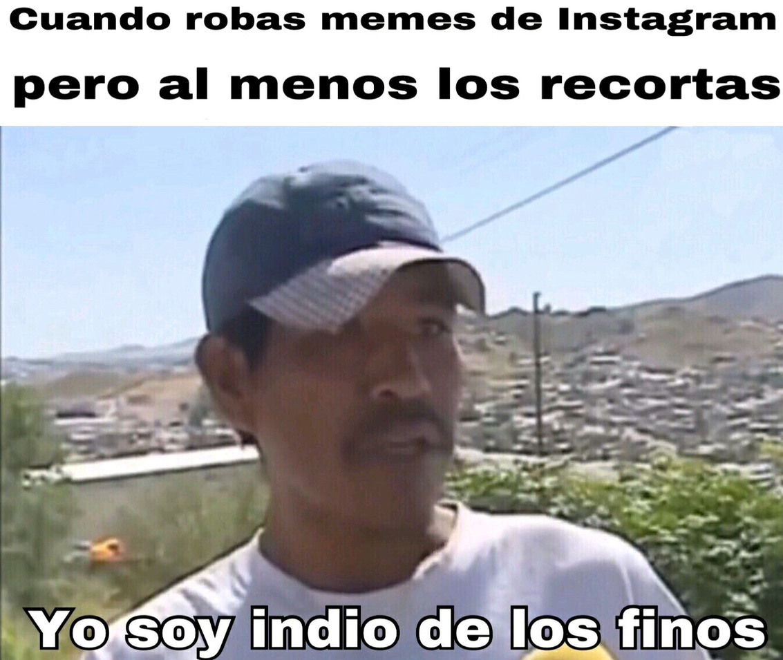 Memes Robando Internet