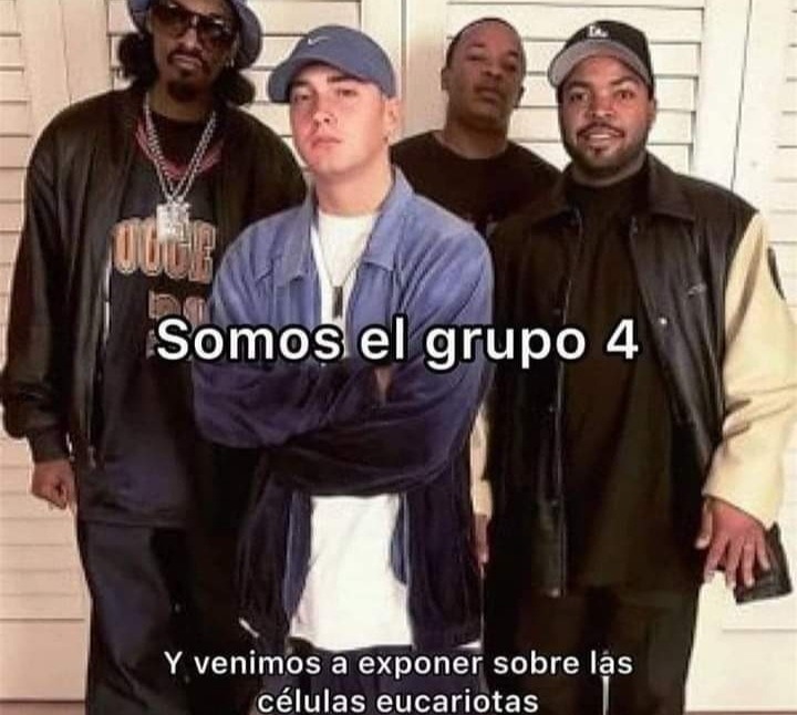 Jajaj - Meme subido por Donpollo1999 :) Memedroid