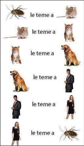 Le teme a.... - Meme subido por pipepugliese :) Memedroid