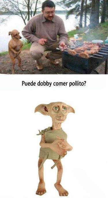 Dobby Dog Meme