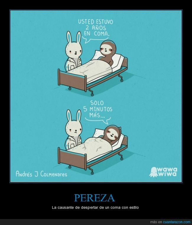 Pereza - Meme by PatoPalTalego :) Memedroid