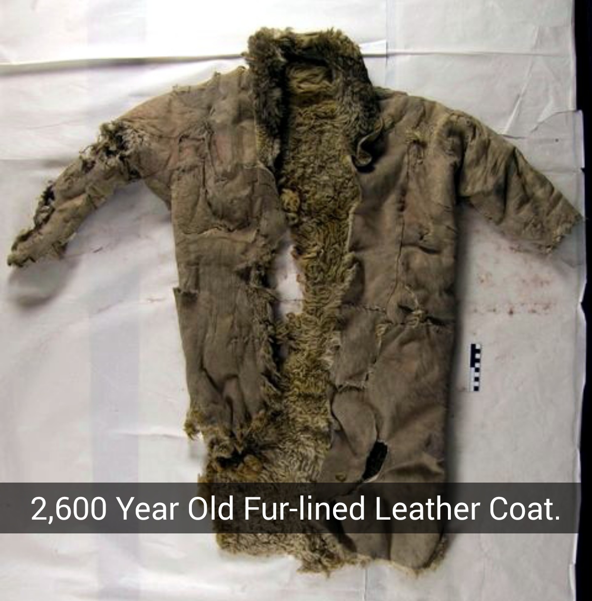 Leather Coat - Meme by HaiLjesus :) Memedroid