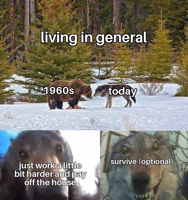 The best 60s memes :) Memedroid