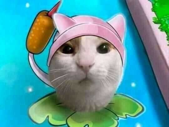 Bonito el gato - Meme by 2r._ :) Memedroid