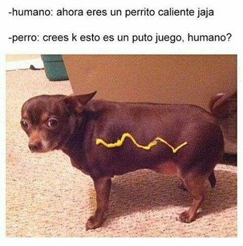Vivan los perritos calientes - Meme subido por Babeluco :) Memedroid