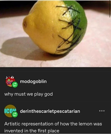 The best Lemon memes :) Memedroid