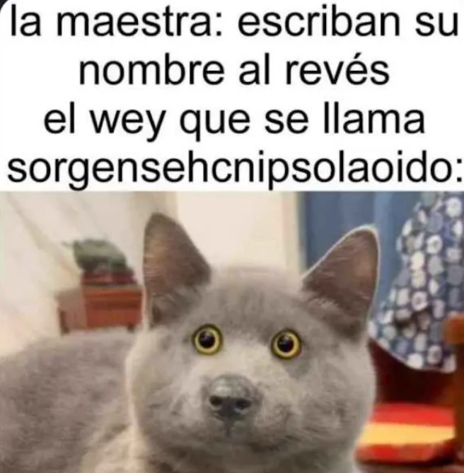 Alguien1917472863 :) Memedroid