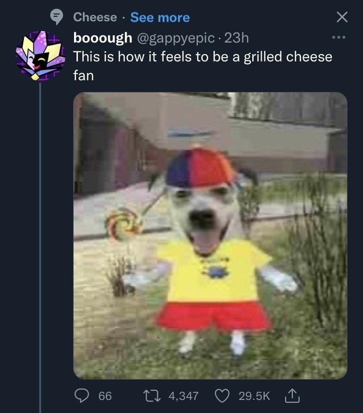 Animal Hat Meme