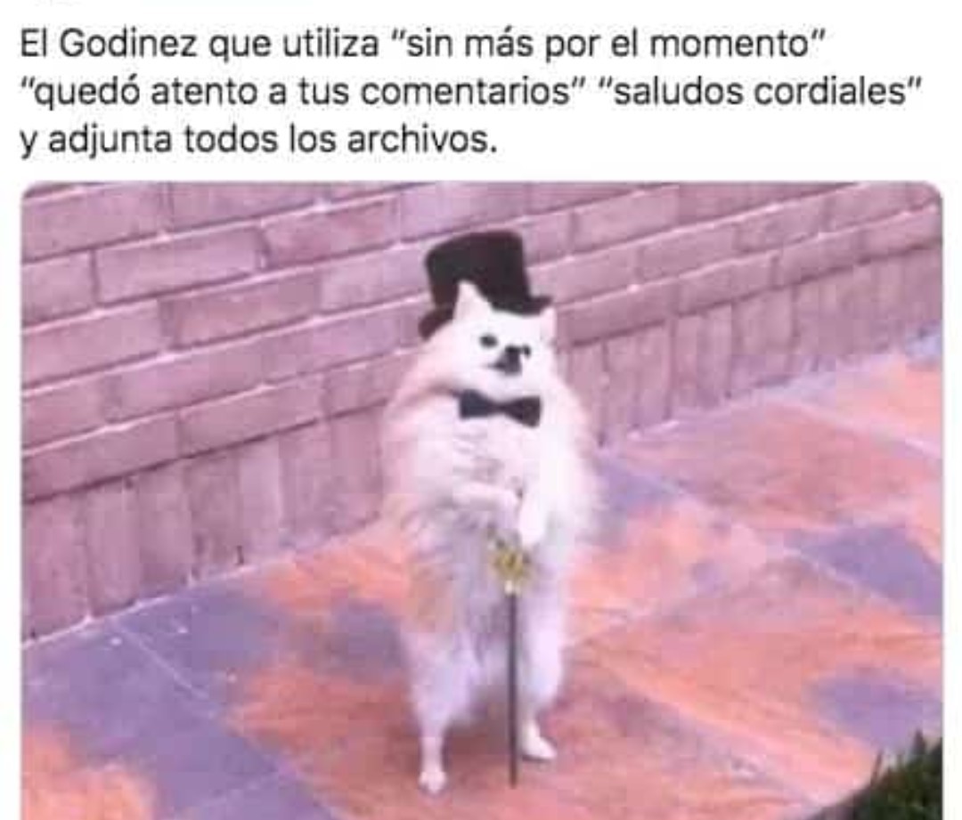 Saludos afectuosos - Meme subido por wolschaldo :) Memedroid