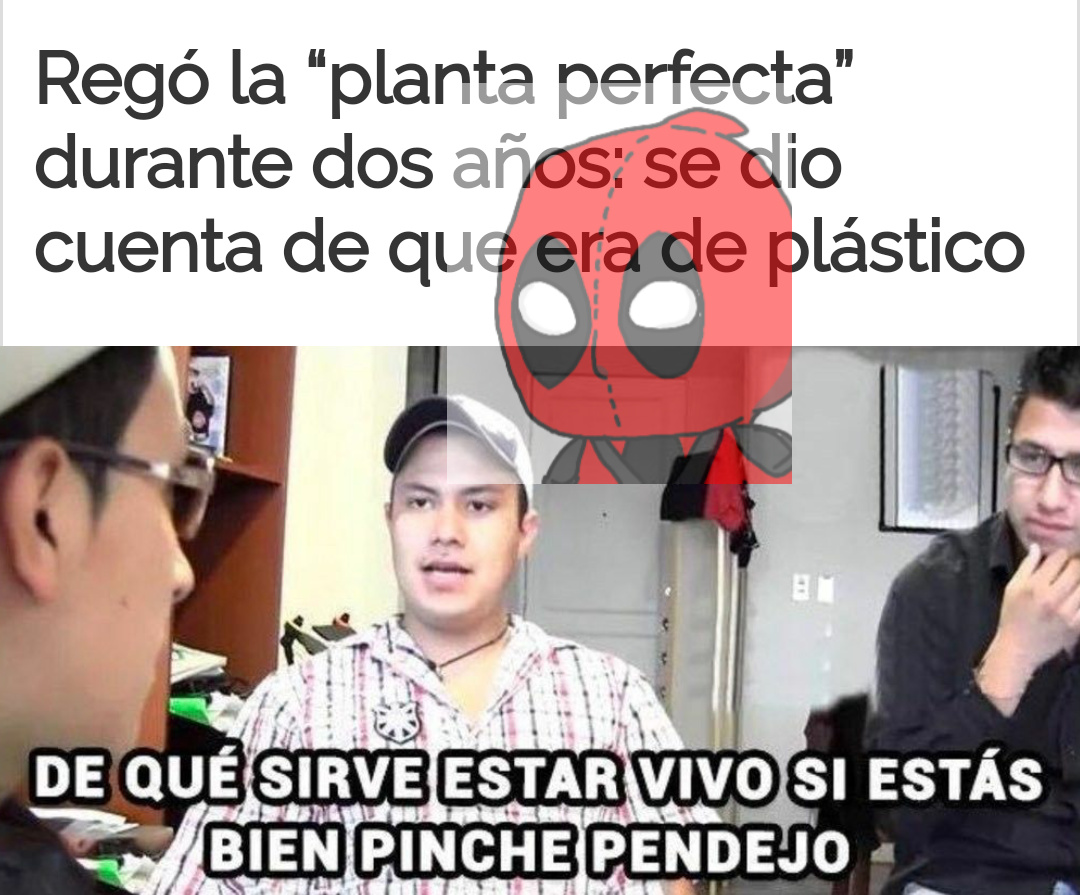 Realmente el ser humano evoluciona? - Meme subido por OtroMemero ...
