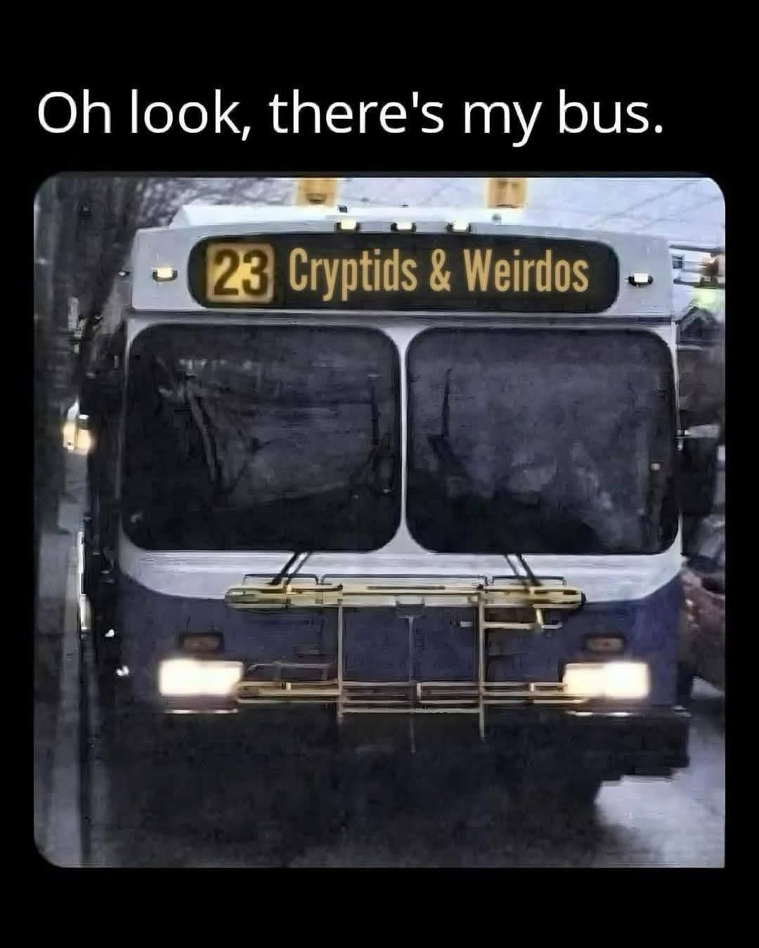 The best Weird memes :) Memedroid