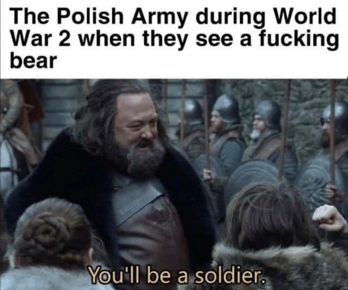 You’ll be a soldier. - Meme by Lightning-Wyvern :) Memedroid