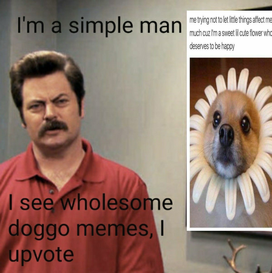 Old template - Meme subido por Thor_GodofLightning :) Memedroid