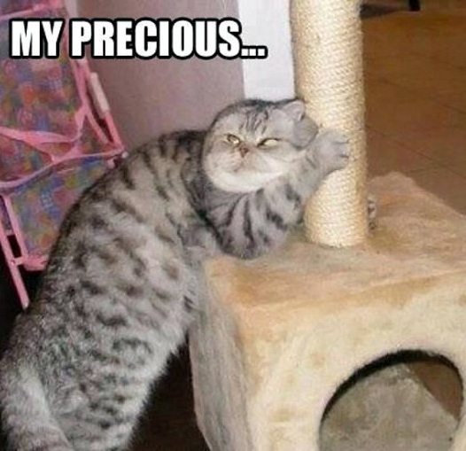 Run bitch, RUN! - Meme subido por daniwors :) Memedroid