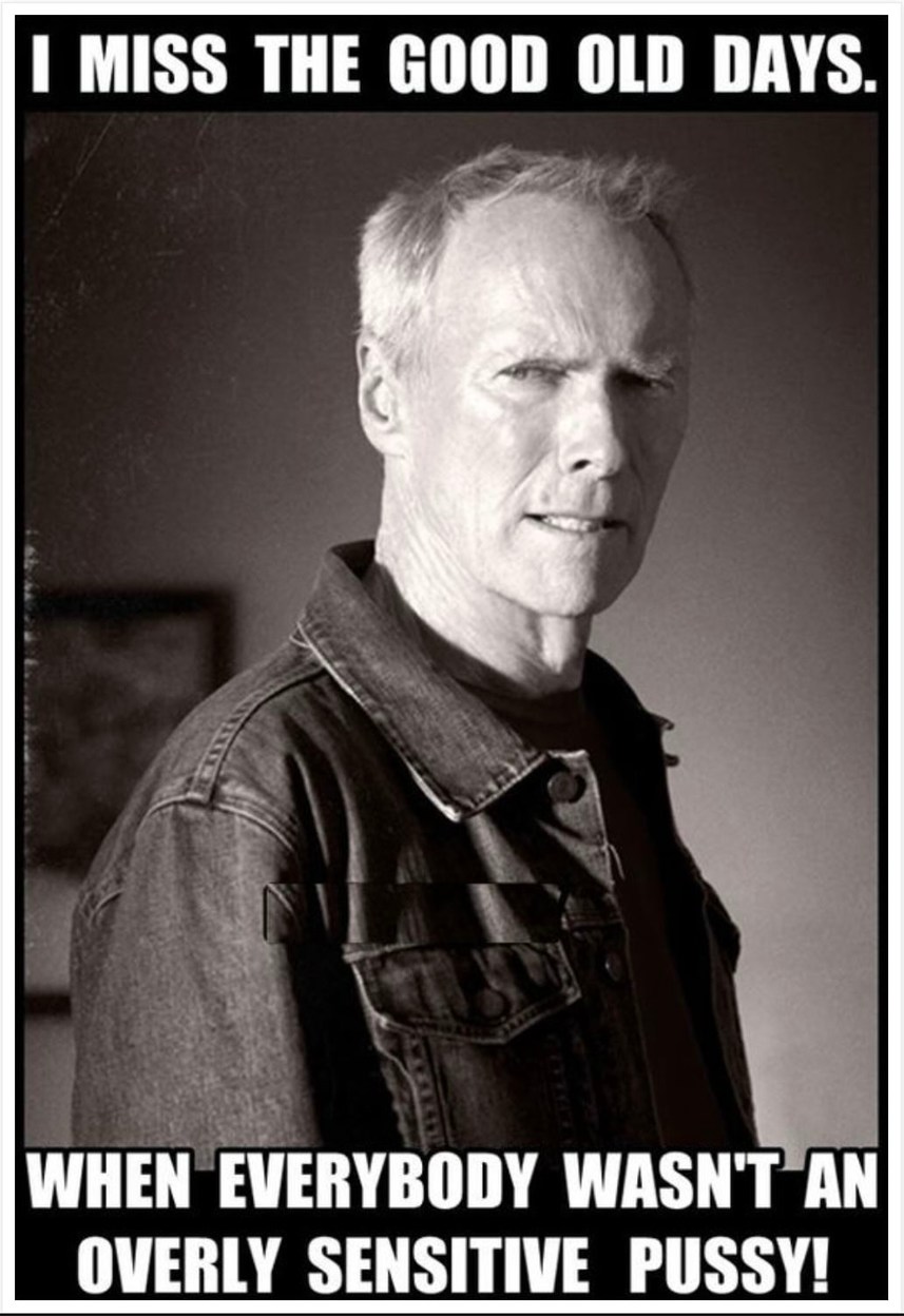 Pussified Little Bitches - Meme by OldAbnInf508PIR :) Memedroid