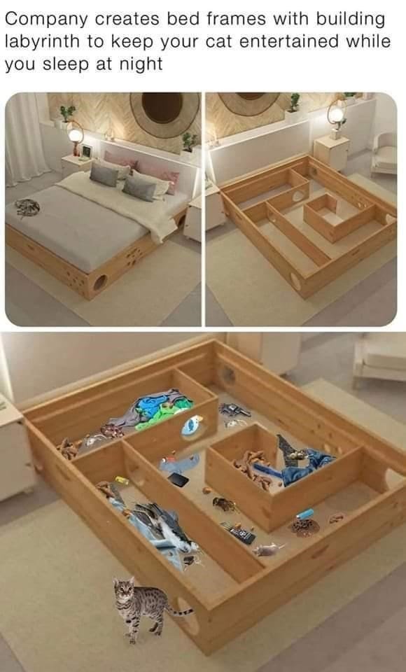 The Latest Memes :) Memedroid