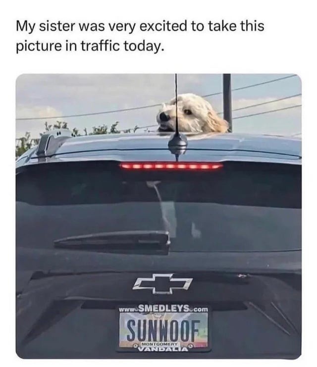The best Traffic Photo memes :) Memedroid