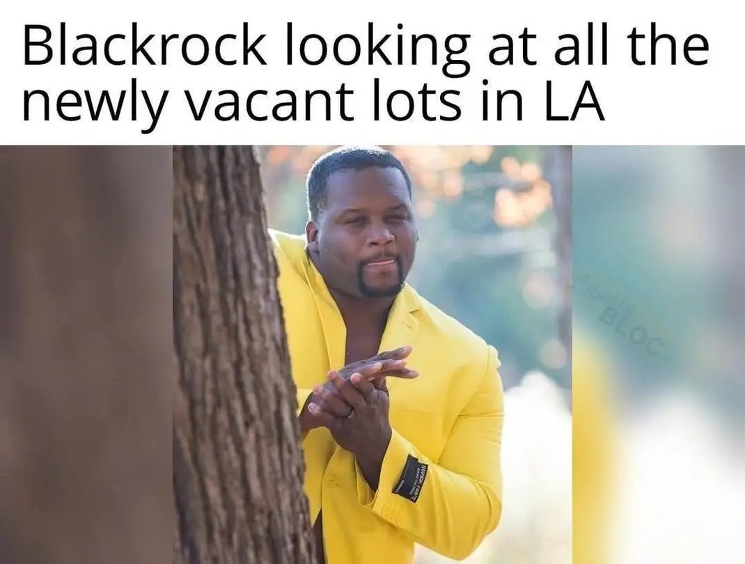 The Latest Memes :) Memedroid