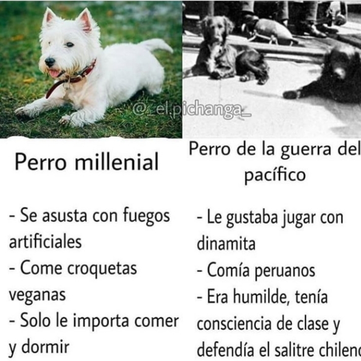 Proazos los perros de la guerra del pacífico - Meme subido por RIKOPO ...