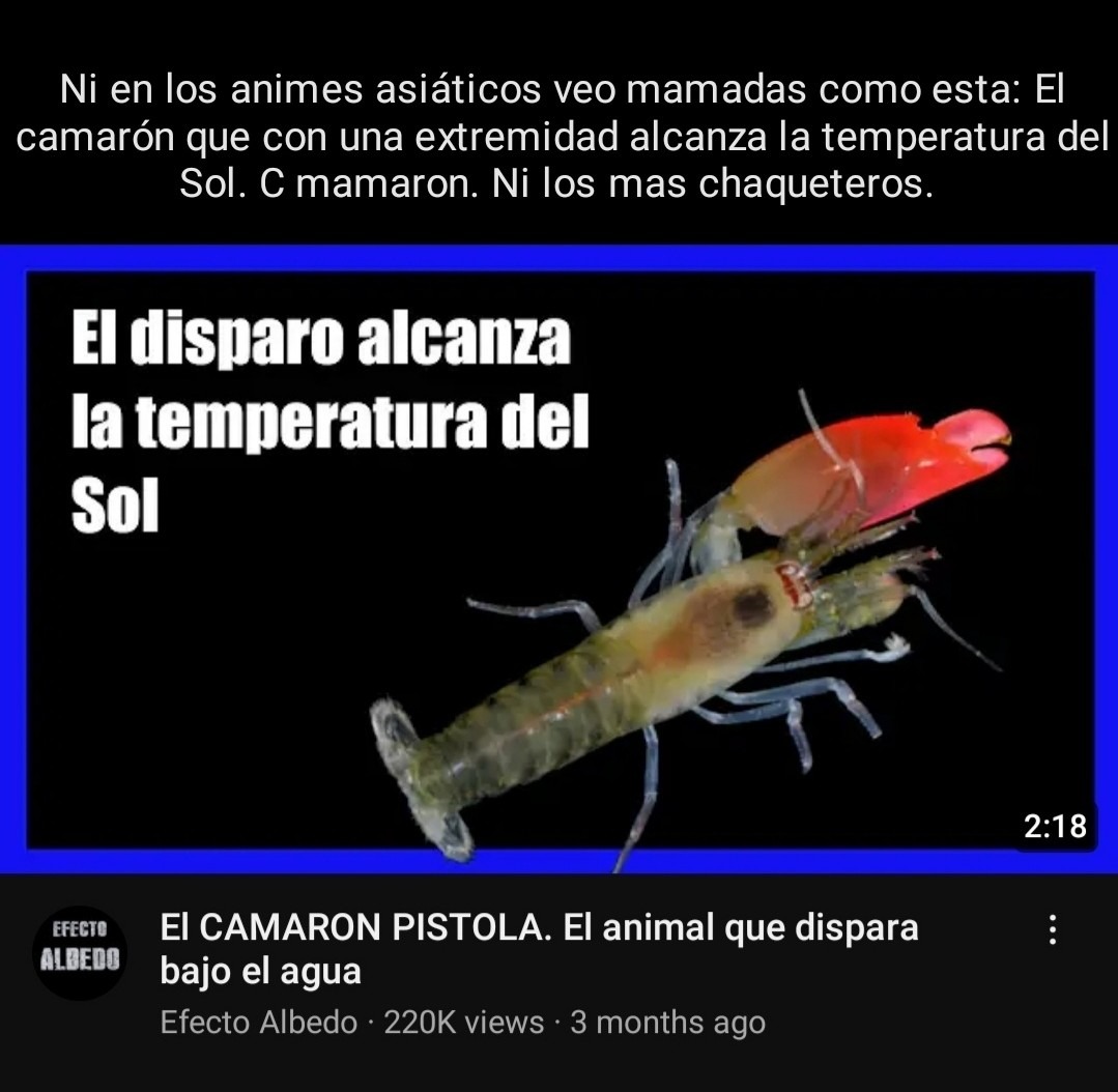 Últimos memes :) Memedroid