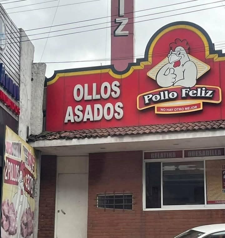 Top memes de Pollos en español :) Memedroid