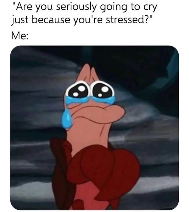 The best Mood memes :) Memedroid