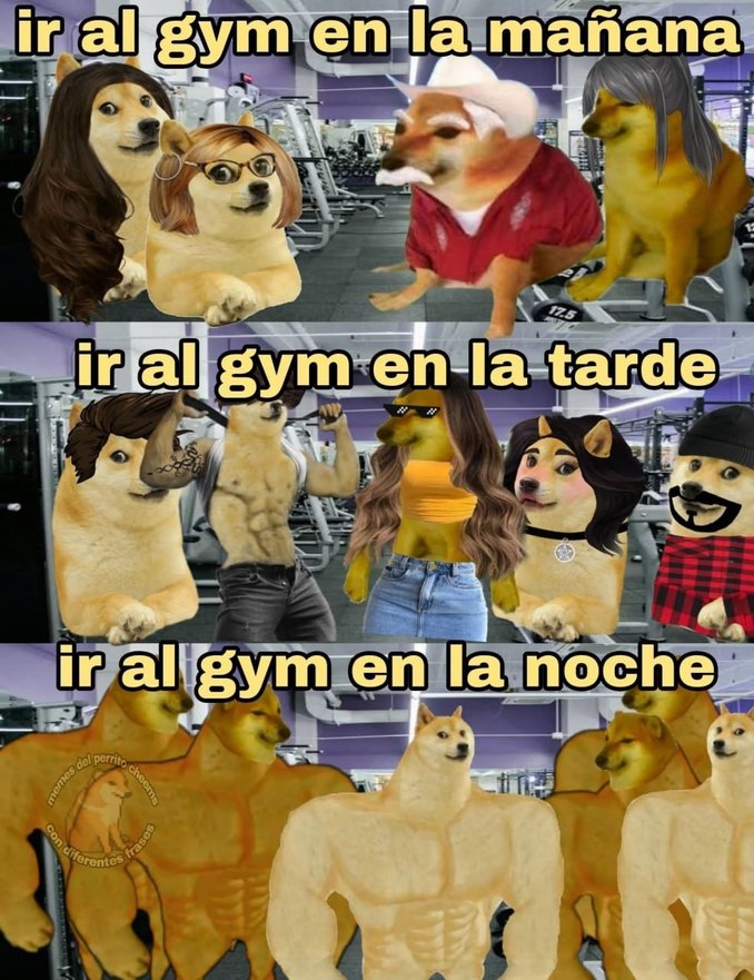 Top memes de Cansancio en español :) Memedroid
