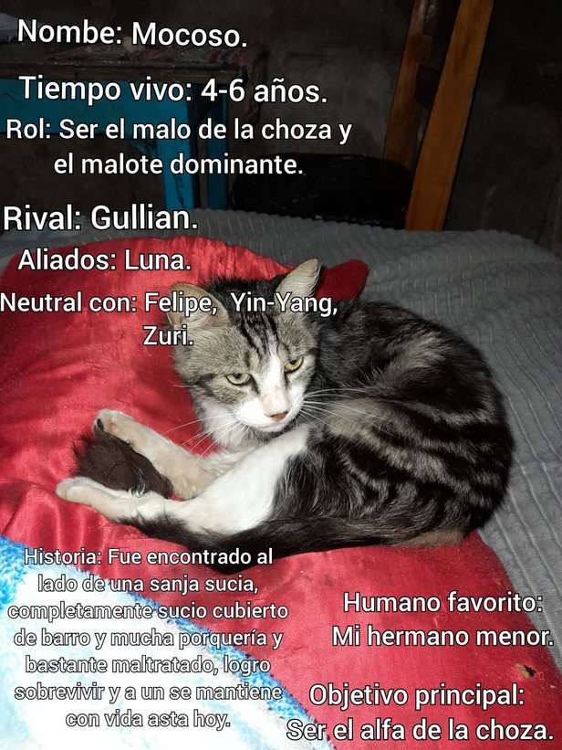 Últimos memes :) Memedroid