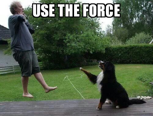 Use the Force - Meme by Rystax :) Memedroid