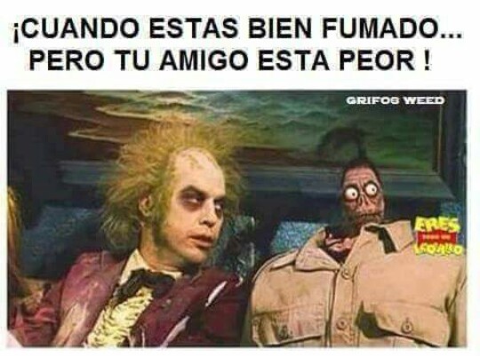 flipo vitalmente - Meme subido por Ninderesco :) Memedroid