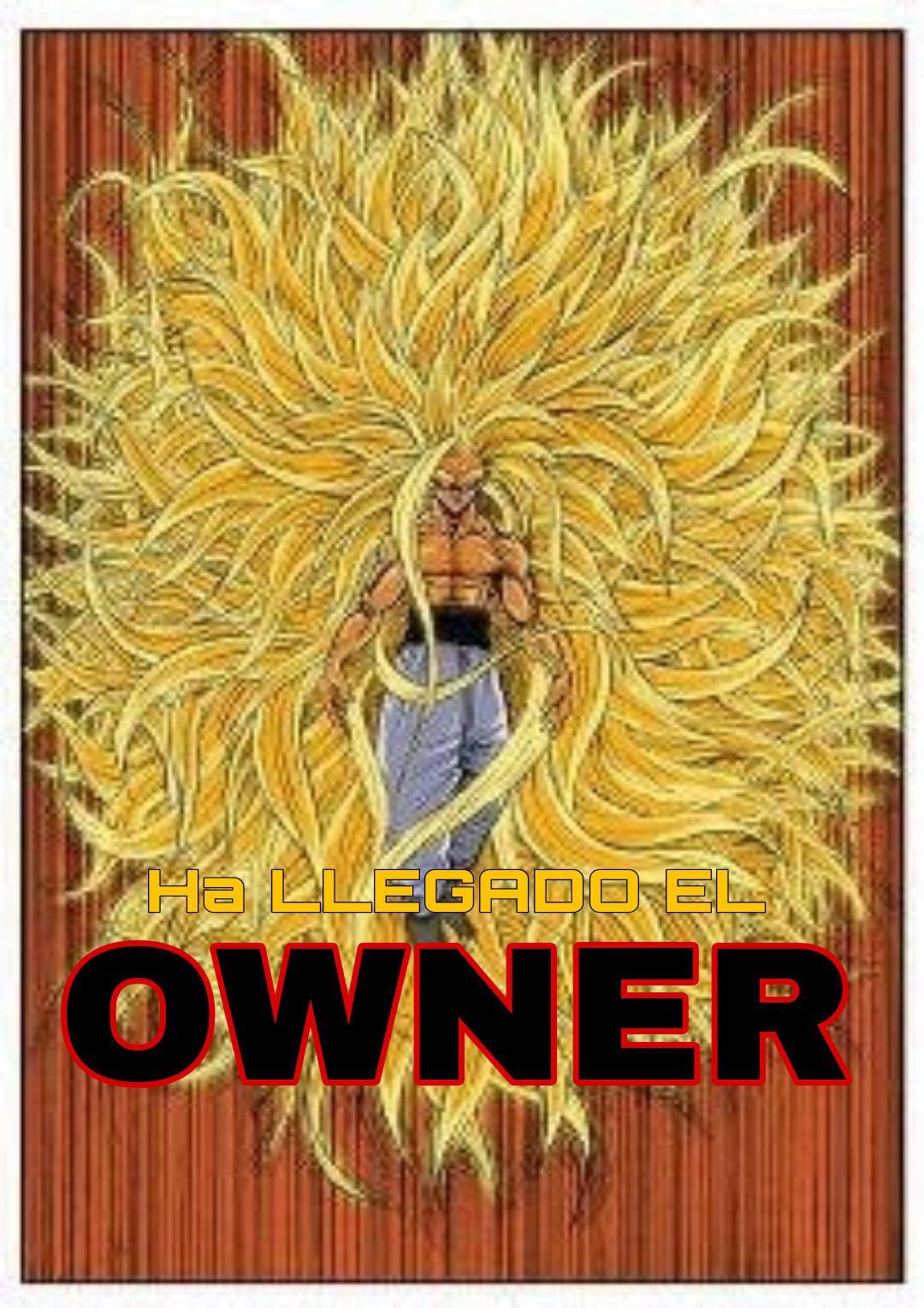 EL OWNER - Meme subido por nomedejaponerminombr :) Memedroid