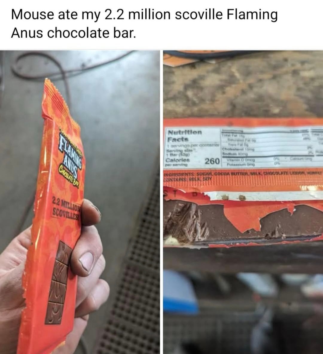 The best Mouse memes :) Memedroid