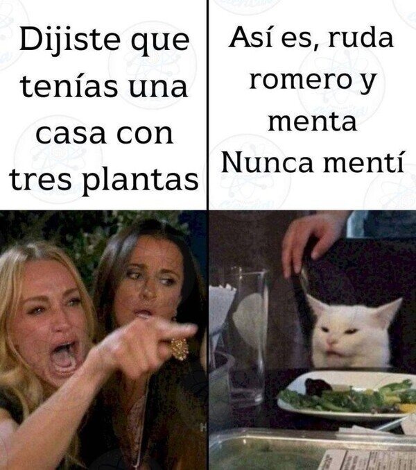 Top memes de Mentiras en español :) Memedroid