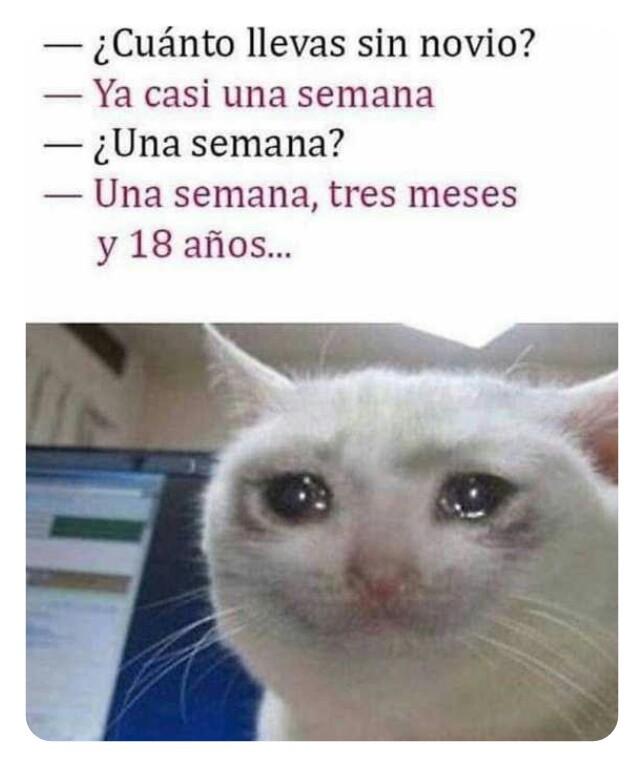 Pero en vez a de novio novia - Meme subido por Obitochafa :) Memedroid