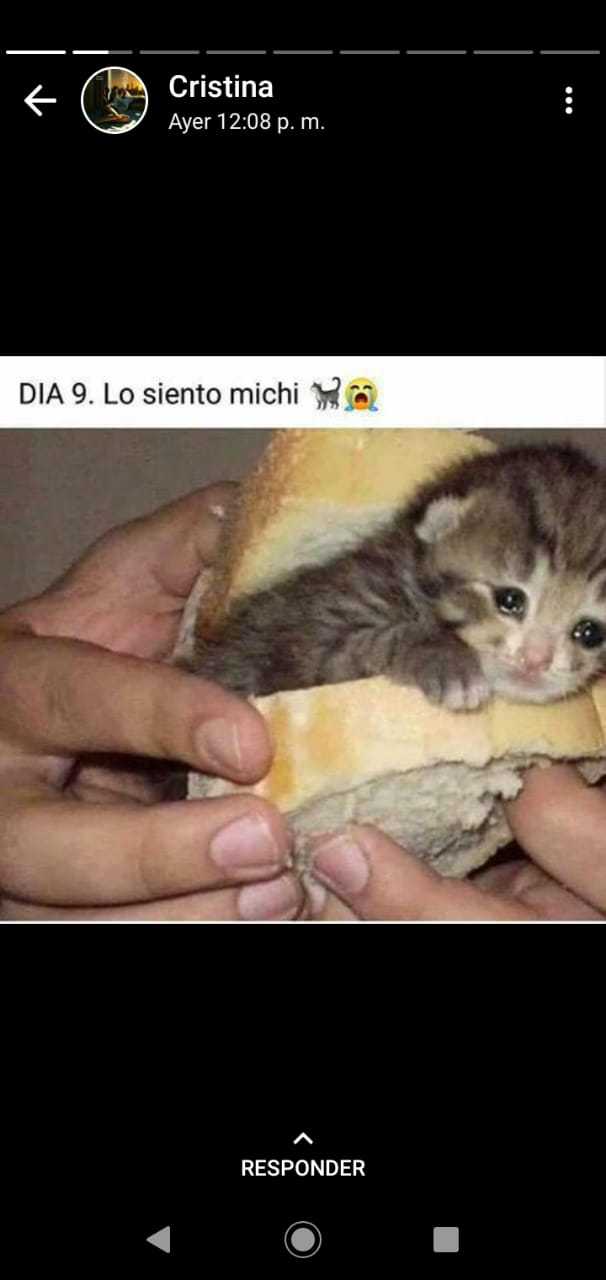 hay que comer - Meme subido por ZeussDZE :) Memedroid