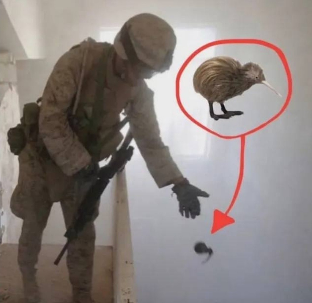 The best Grenade memes :) Memedroid