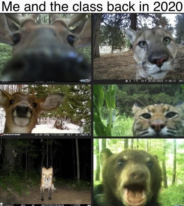 The best Flashback memes :) Memedroid