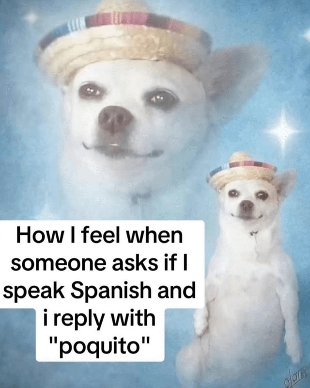 The best Spanish memes :) Memedroid