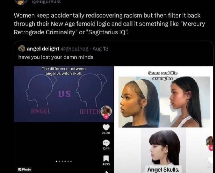 Latest memes / New memes :) Memedroid