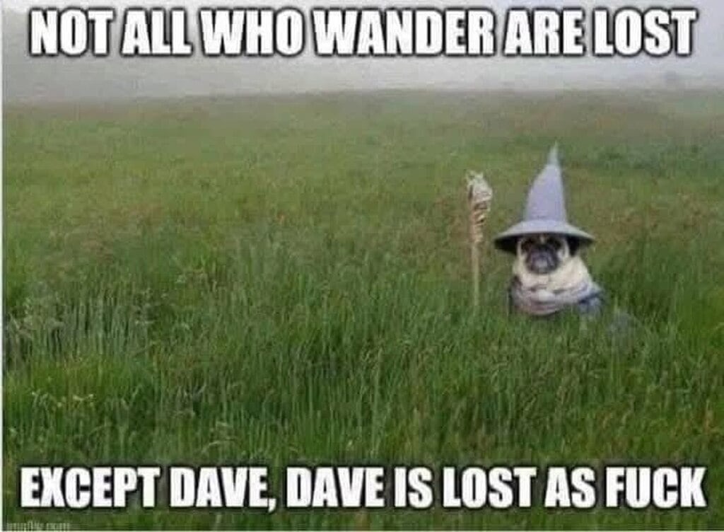 The best Dave memes :) Memedroid