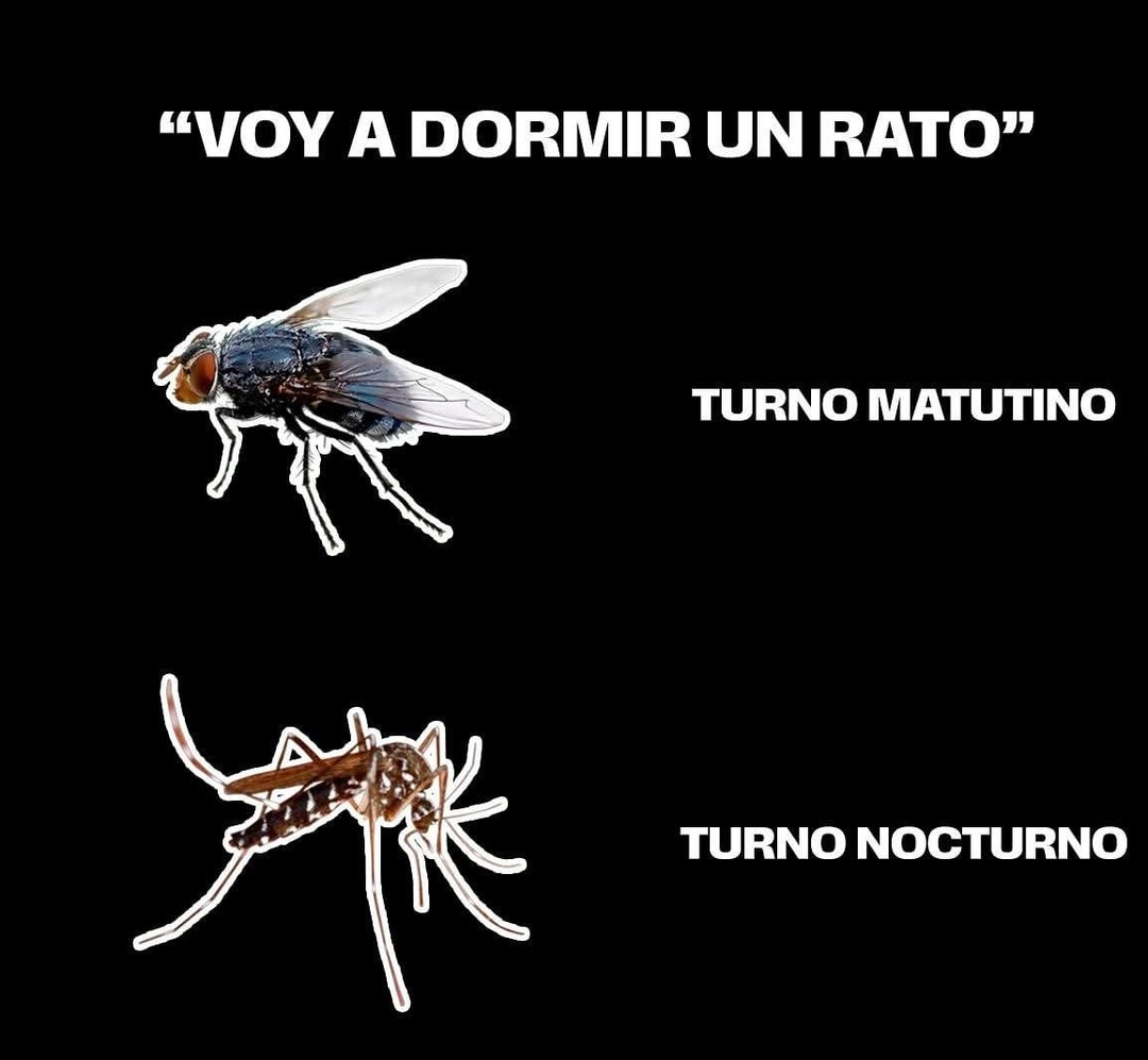 Top memes de Cansancio en español :) Memedroid
